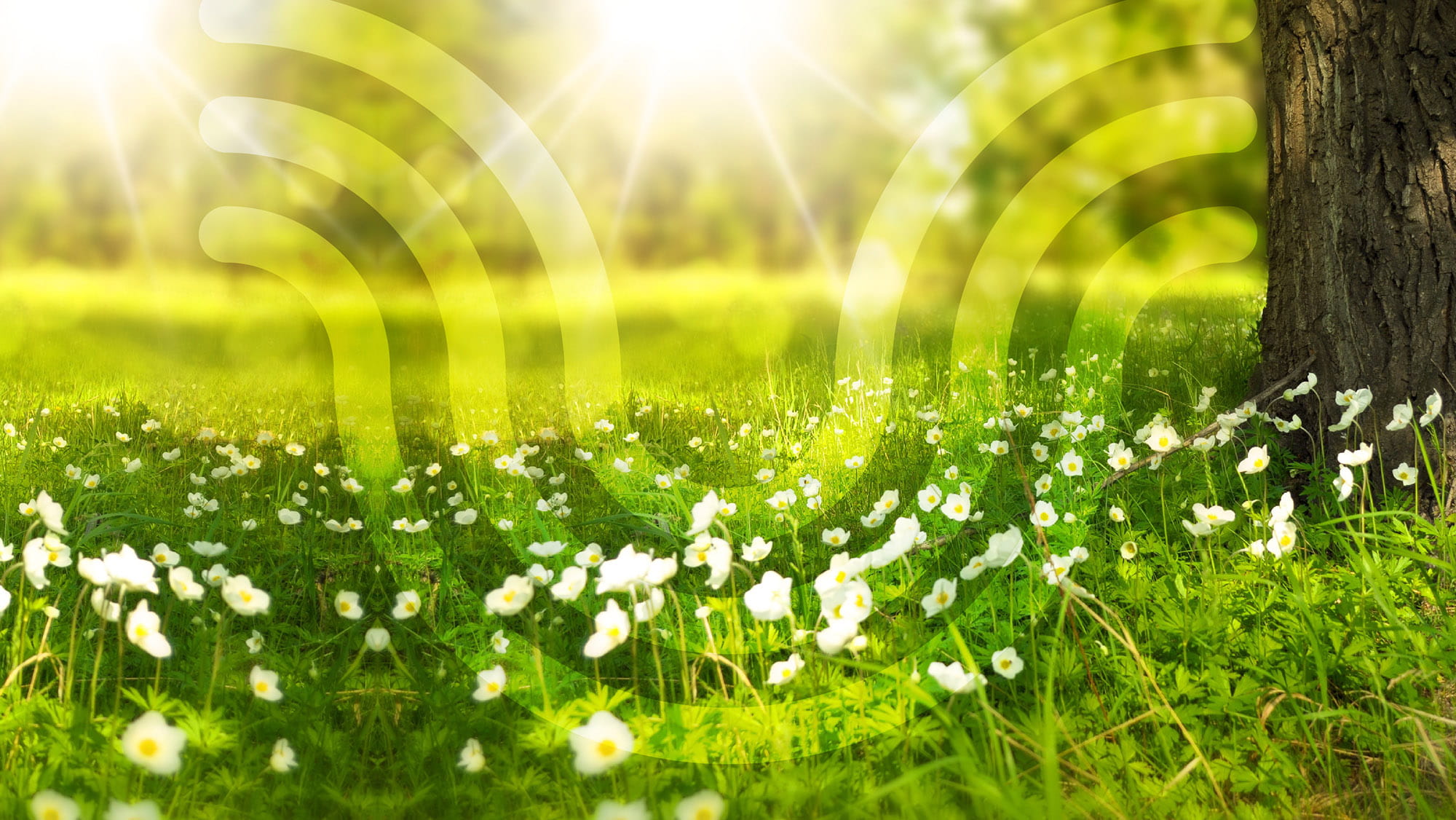 Our references - SUEZ in Asia